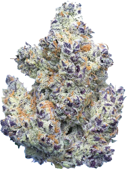 THCA Flower - Premium THCA Products | Lab Tested | Secret Nature